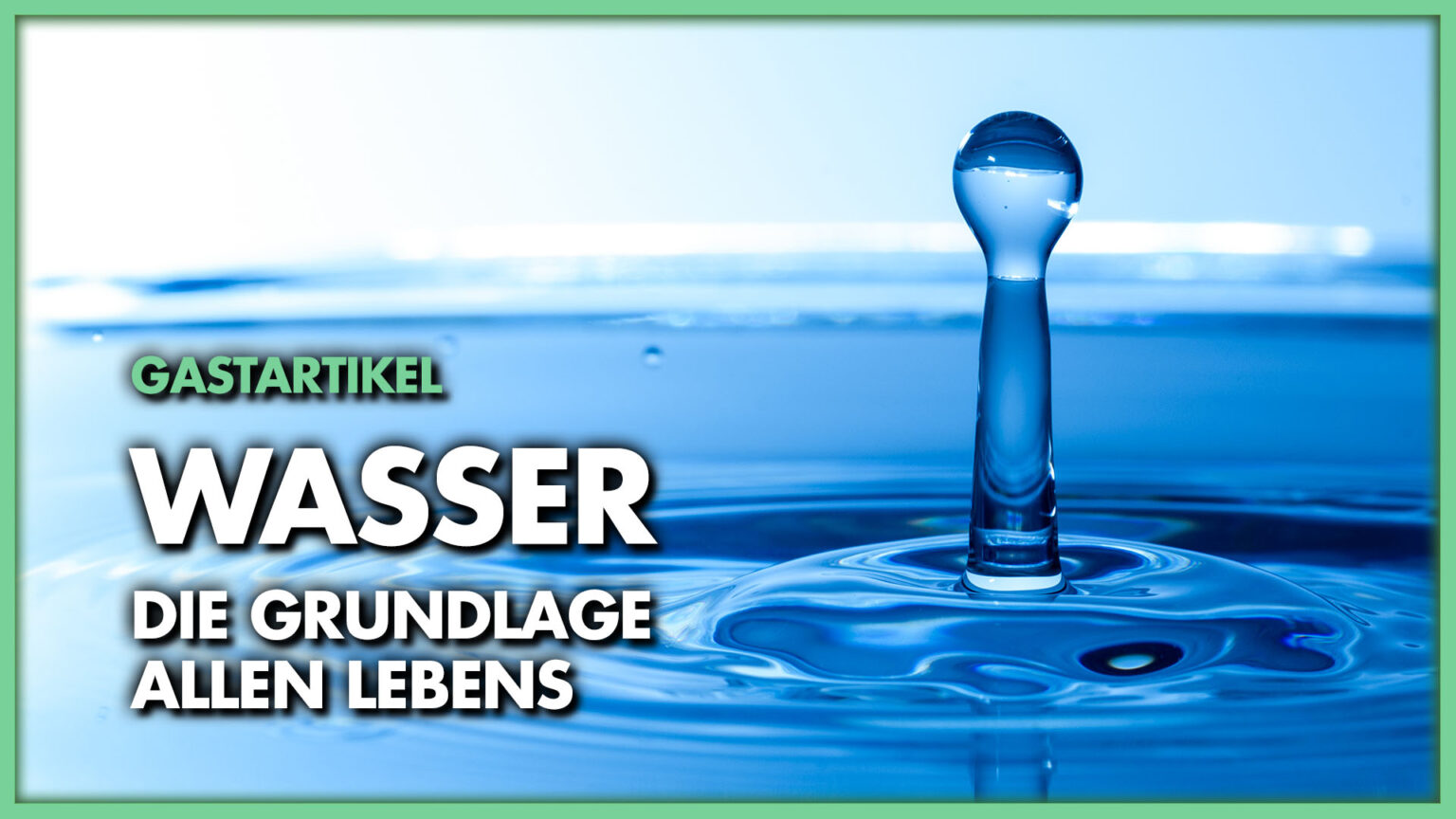 Wasser – Die Grundlage allen Lebens - Welt Der Gesundheit