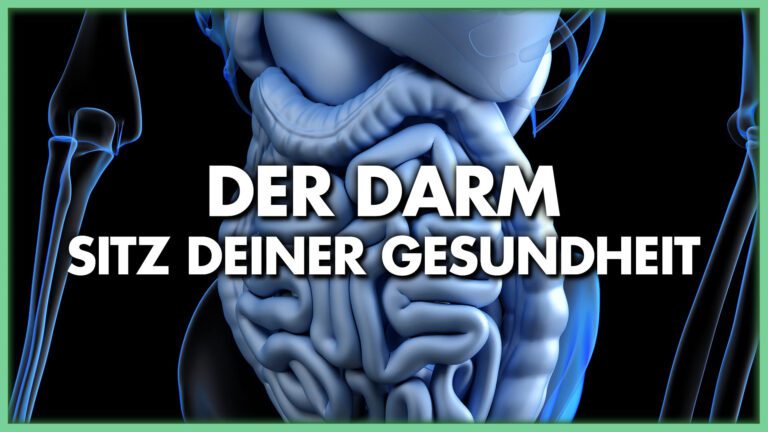 Der Darm - Sitz der Gesundheit - Welt Der Gesundheit